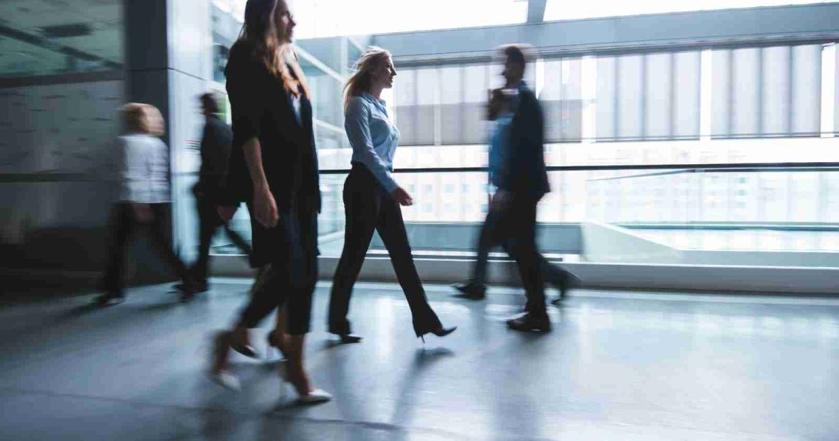 A complete legal guide to listing on the… | HopgoodGanim Lawyers